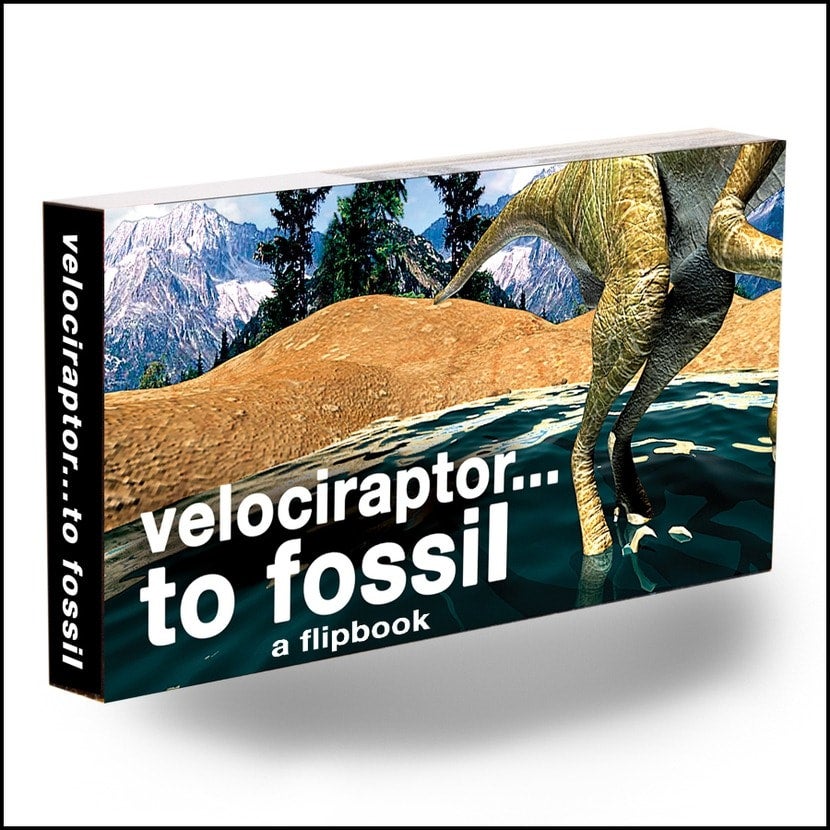 Velociraptor… to Fossil Dinosaur Animated Flipbook | Bear and Bird ...